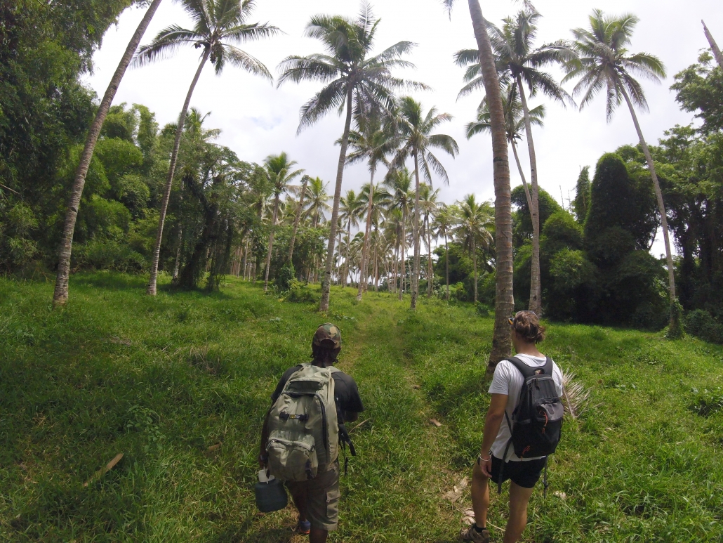 Vanuatu Ecotours - River Kayaking on Efate Island in Vanuatu