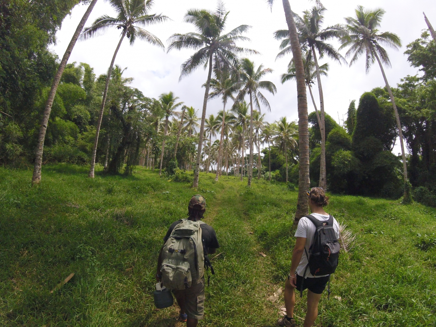 Tours | Vanuatu Ecotours