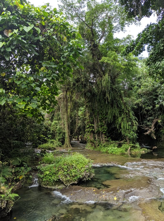 Vanuatu Ecotours - River Kayaking on Efate Island in Vanuatu